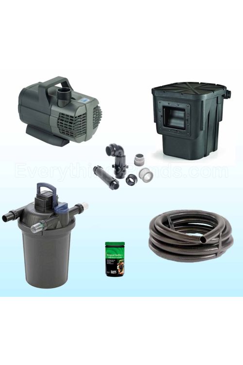 Pond Ecosystem - Everything-Ponds.com