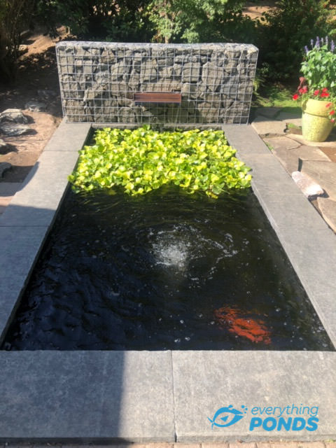 Rectangular Box Welded Pond Liner Insert (Flexible)