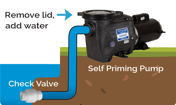 Pond Water Pump - Everything-Ponds.com