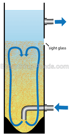 Improving Water Quality with a Biological Pond Filter - Everything ...