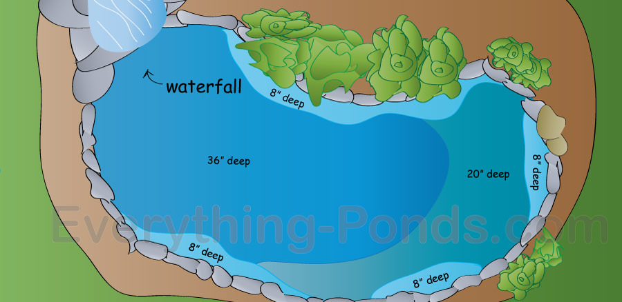 Water Garden Shelves and Plants