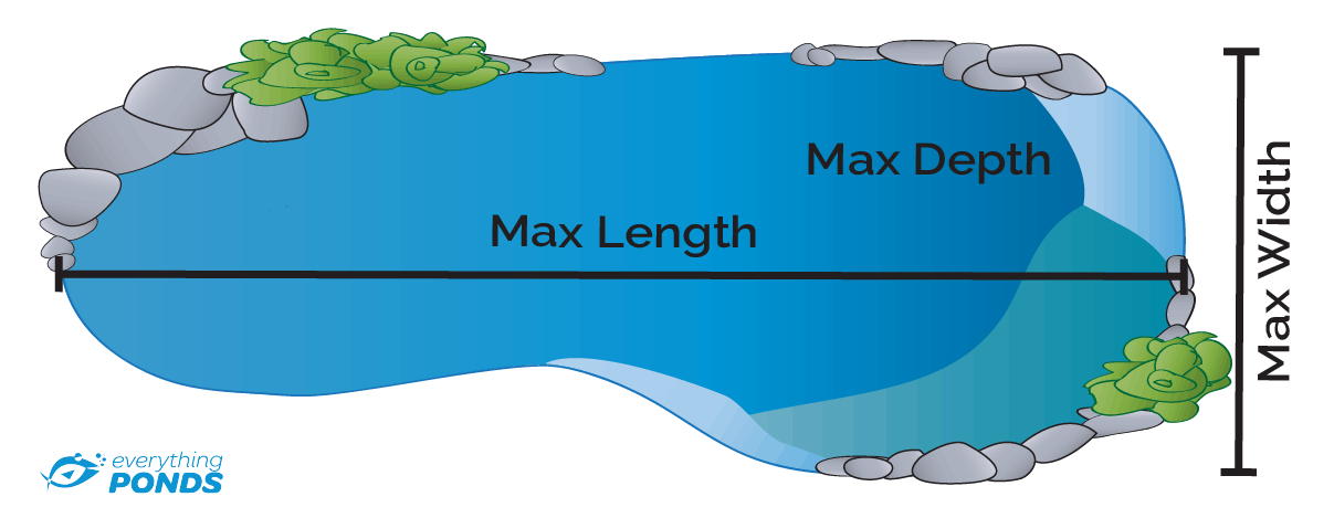 Liner Size Calculator - Everything-Ponds.com